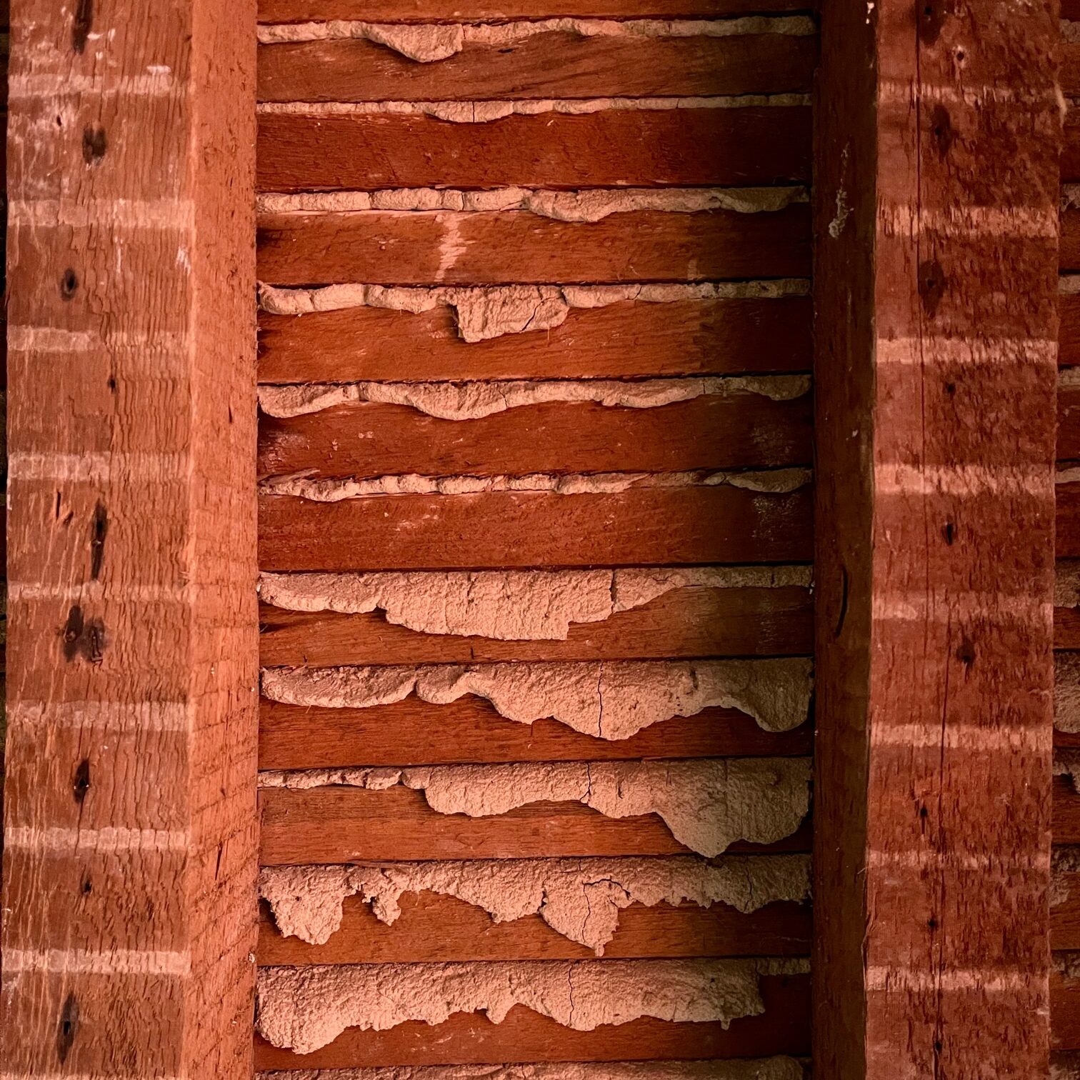 MHM Plaster Walls and Ceilings - Merchant's House Museum